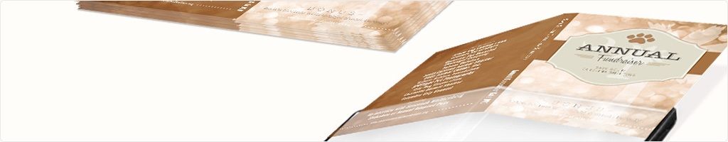 DVD Sleeve Printing + DVD Packaging Printing at PsPrint